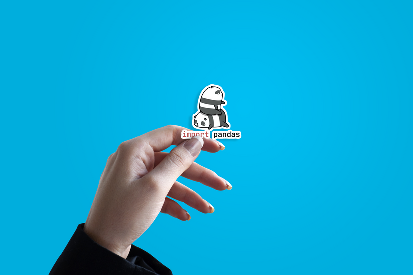 Import Pandas – Coding Meets Pandas | StickerMuse – Stickermuse
